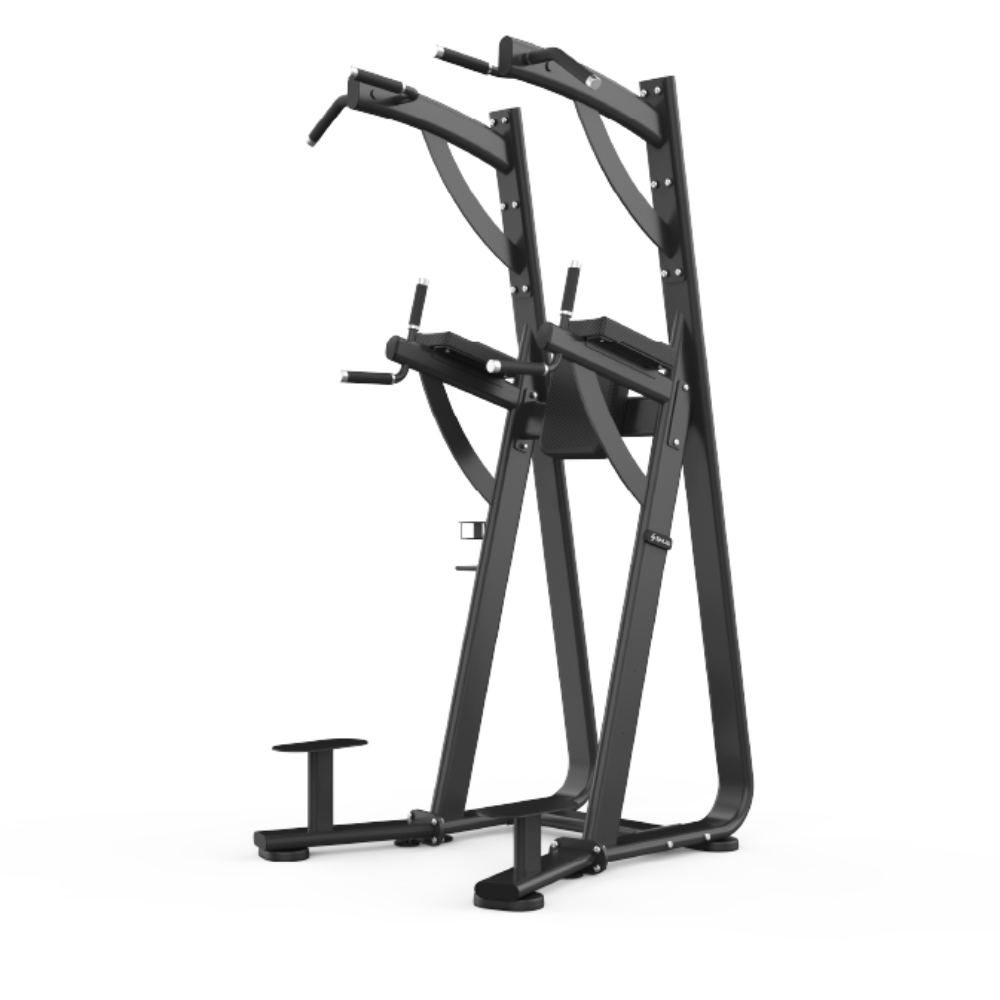 Shua 88 Series Chin Dip Leg Raise Station – MiFitness